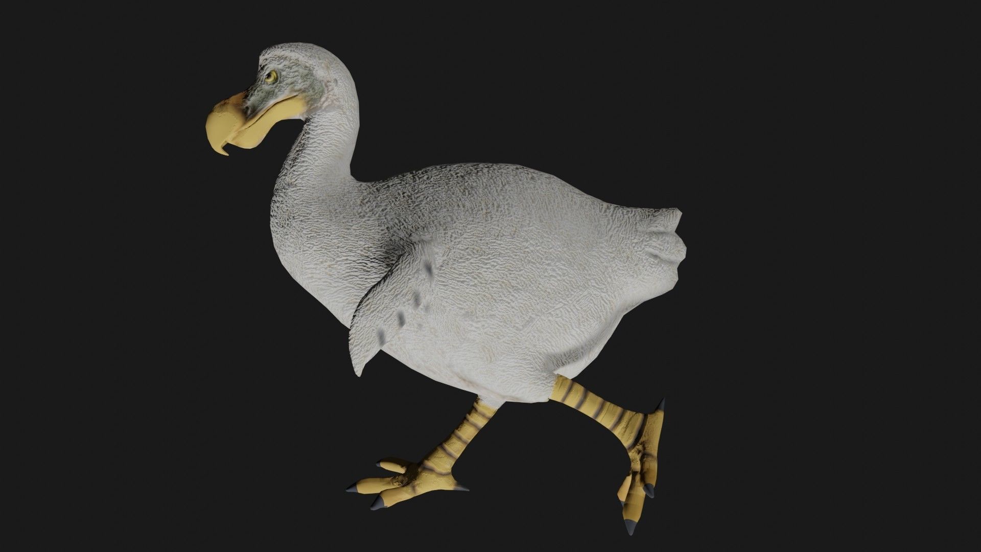 3D model Dodo Bird VR / AR / low-poly rigged | CGTrader