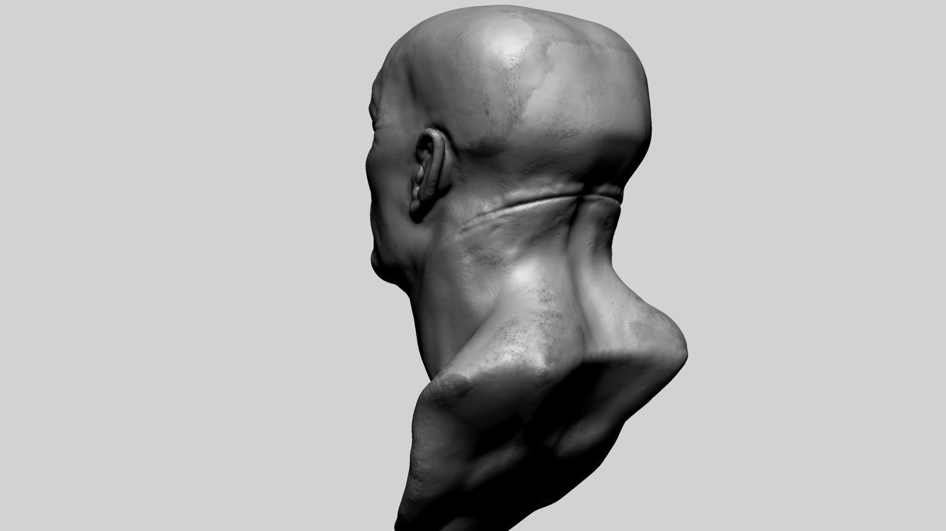 Fantasy Creature Head 06 3D model | CGTrader