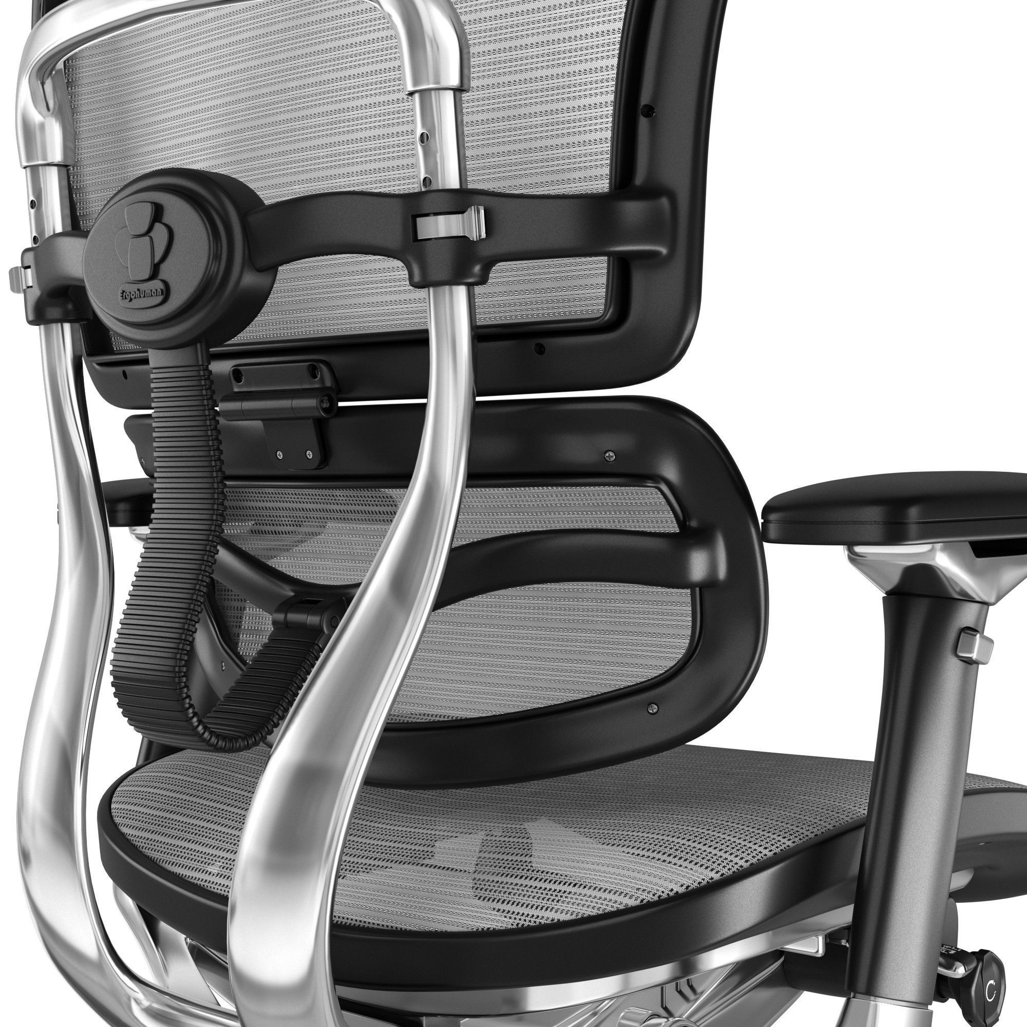 Ergohuman Plus Luxury Office Chair 2 Colors and 6 Colors mesh 3D model ...