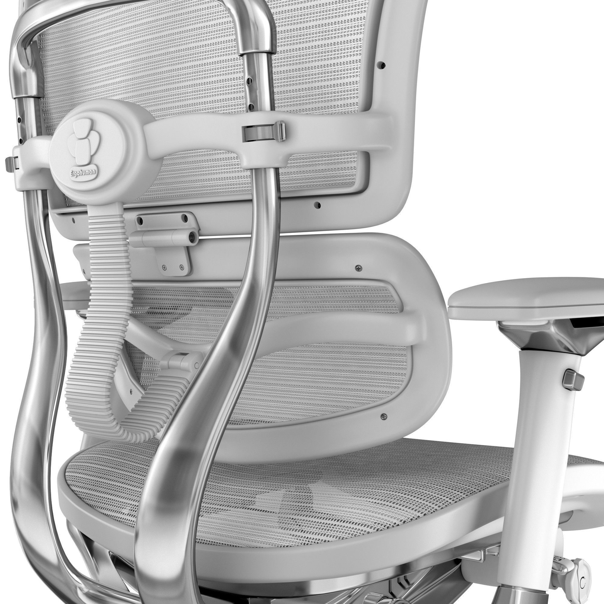 Ergohuman Plus Luxury Office Chair 2 Colors and 6 Colors mesh 3D model ...