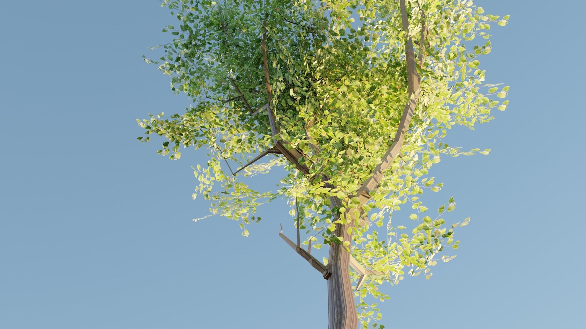 3D model low poly tree VR / AR / low-poly | CGTrader