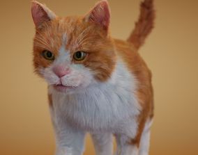 Cat 3D Models | CGTrader