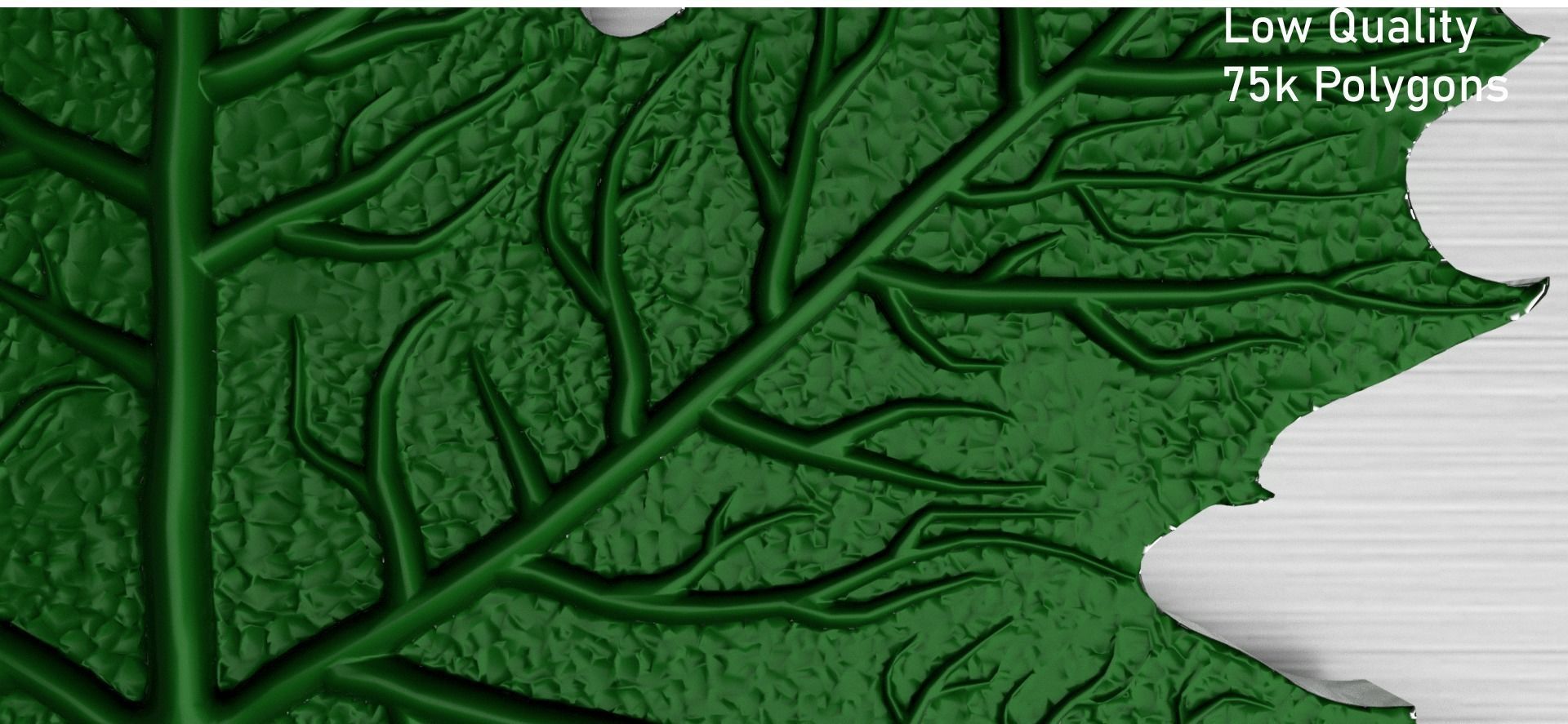 Maple Leaf 3D model 3D printable | CGTrader