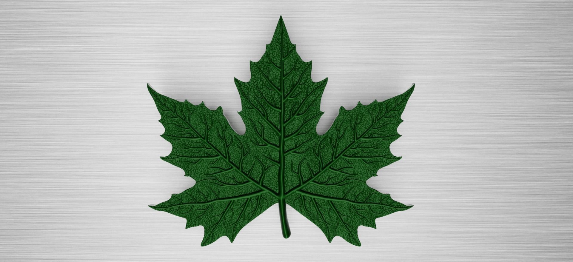 Maple Leaf 3D model 3D printable | CGTrader