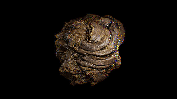 Animal Dung