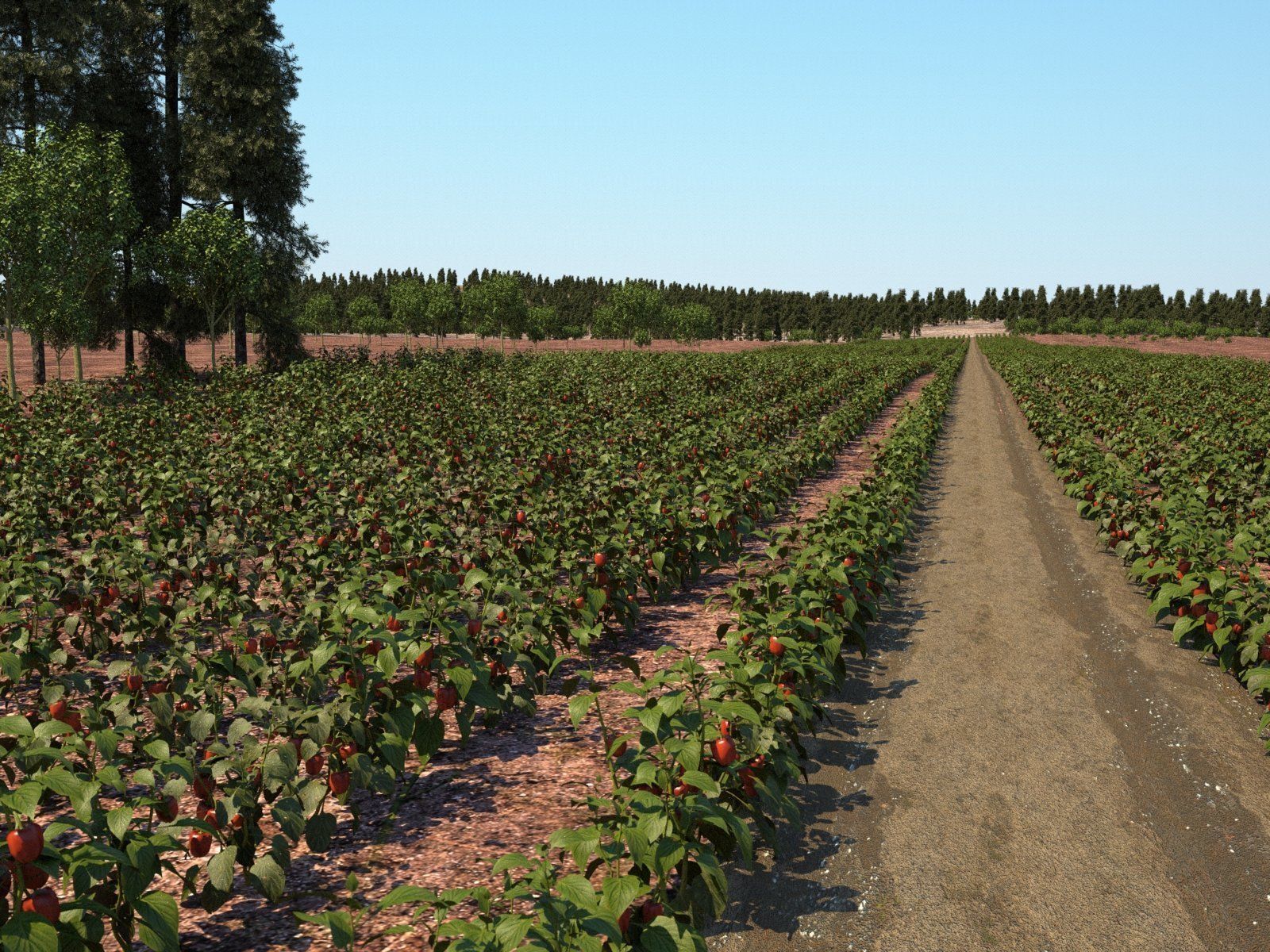 2020 Xfrog Plants Agriculture Library 3D model | CGTrader