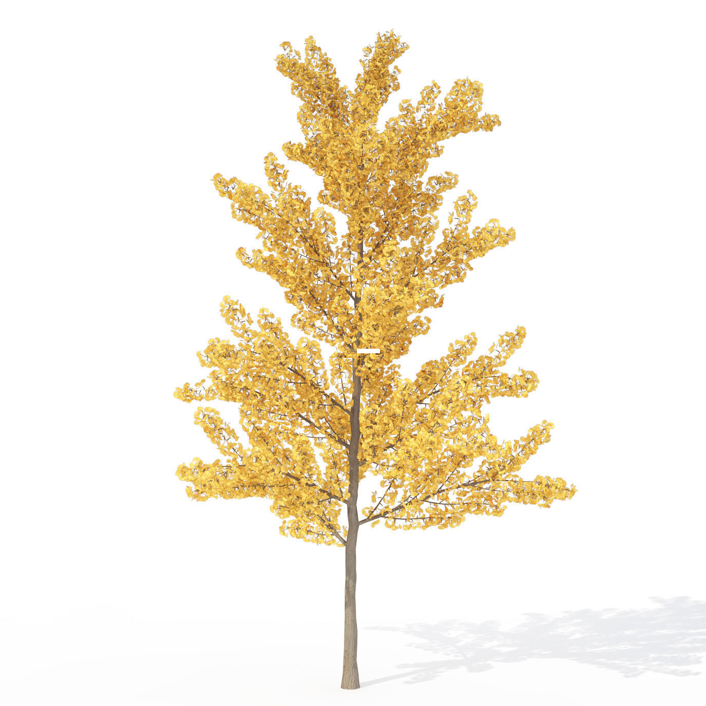 2020 XfrogPlants Autumn Trees Library 3D model | CGTrader