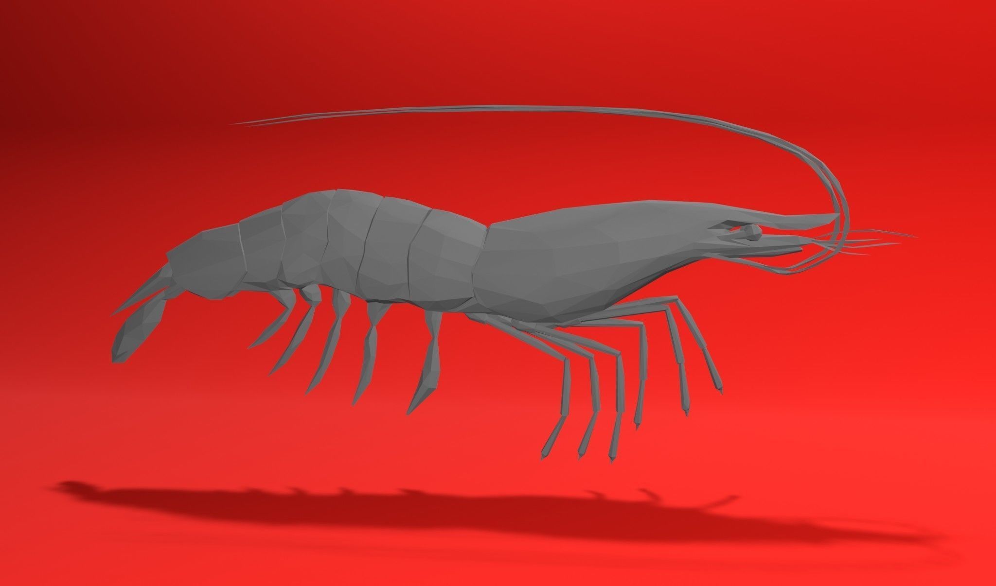 3D model Shrimp sea animal Lowpoly VR / AR / low-poly | CGTrader