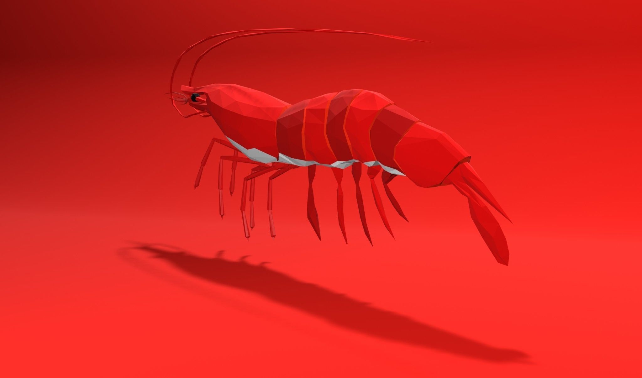3D model Shrimp sea animal Lowpoly VR / AR / low-poly | CGTrader