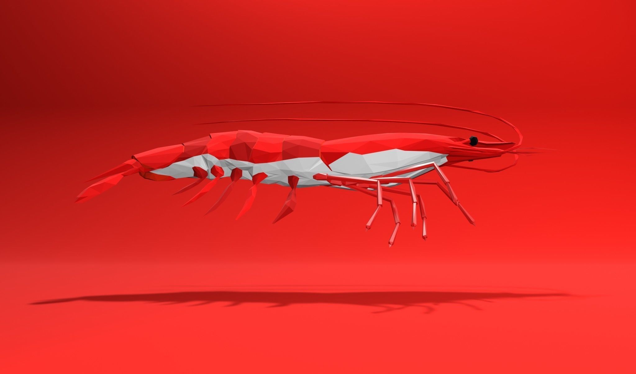 3D model Shrimp sea animal Lowpoly VR / AR / low-poly | CGTrader
