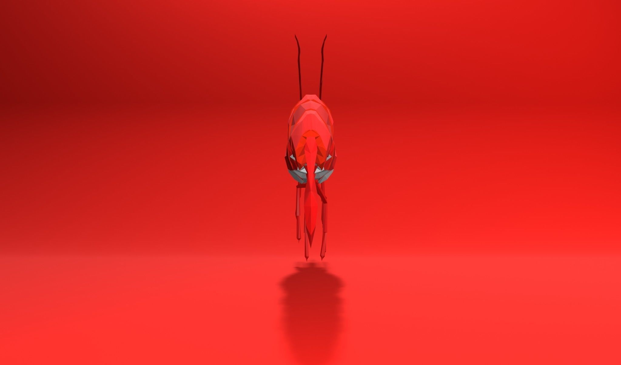 3D model Shrimp sea animal Lowpoly VR / AR / low-poly | CGTrader