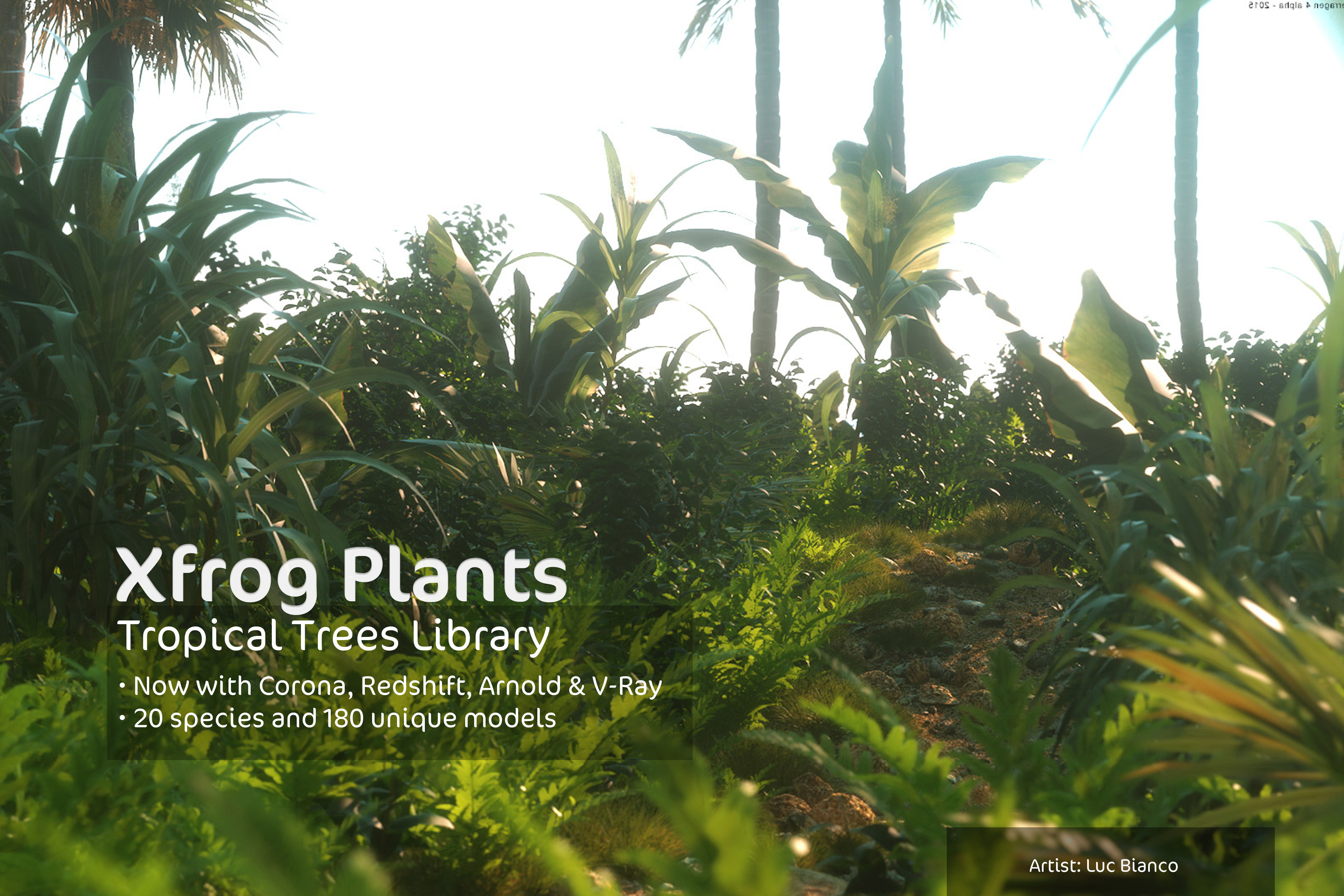 2020 XfrogPlants Tropical Trees Library 3D model | CGTrader