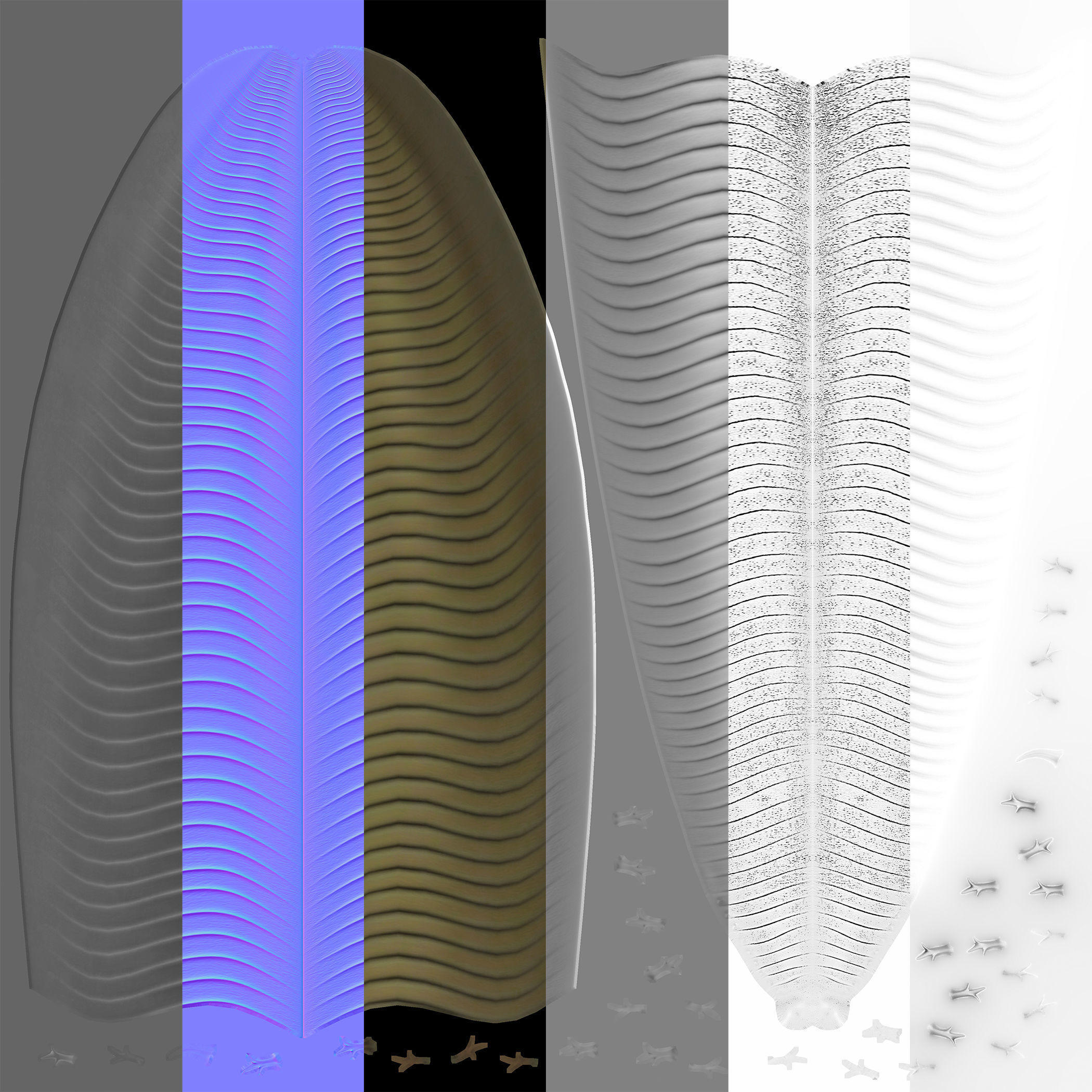 Pikaia 3D model | CGTrader