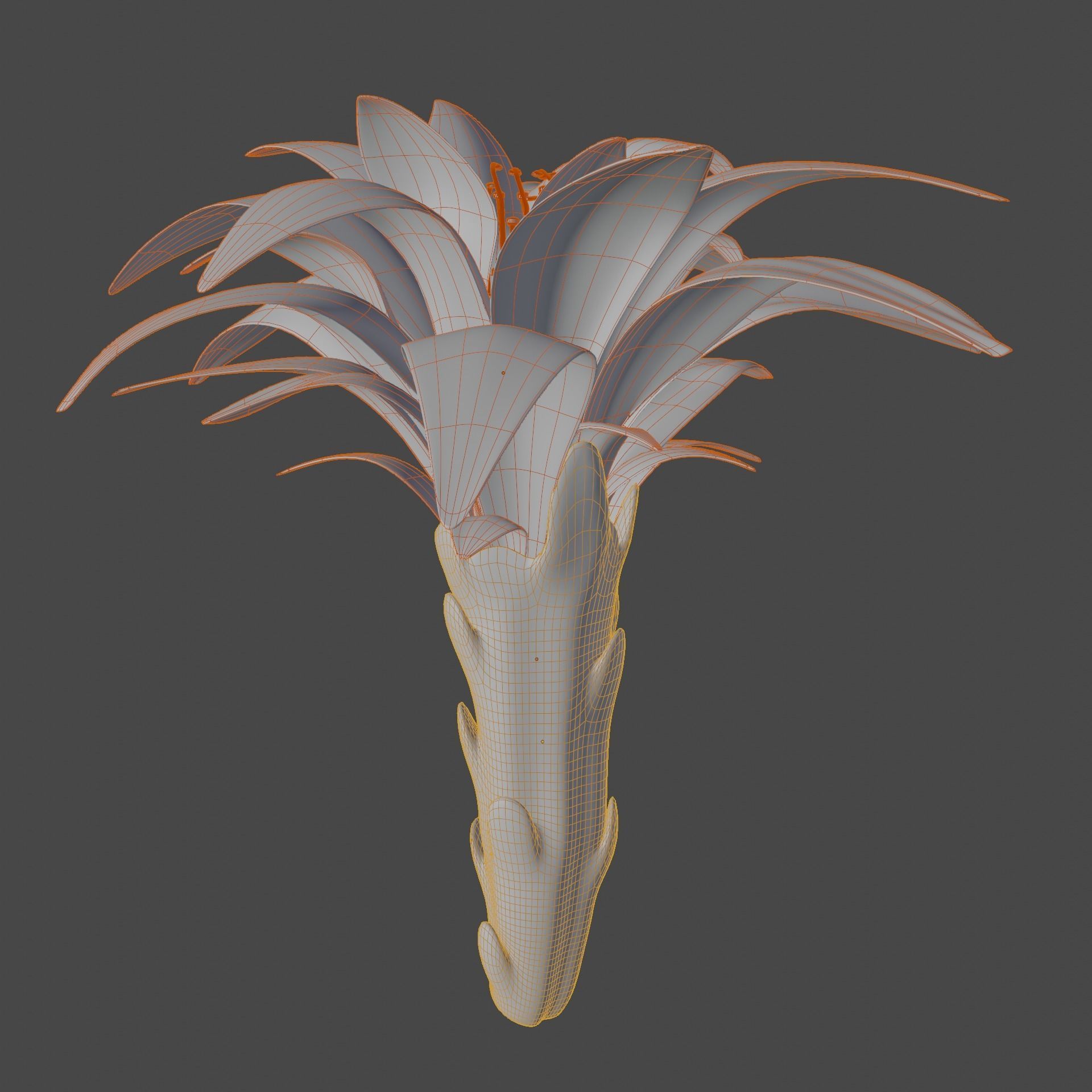 Water lily flower bud 3D model | CGTrader