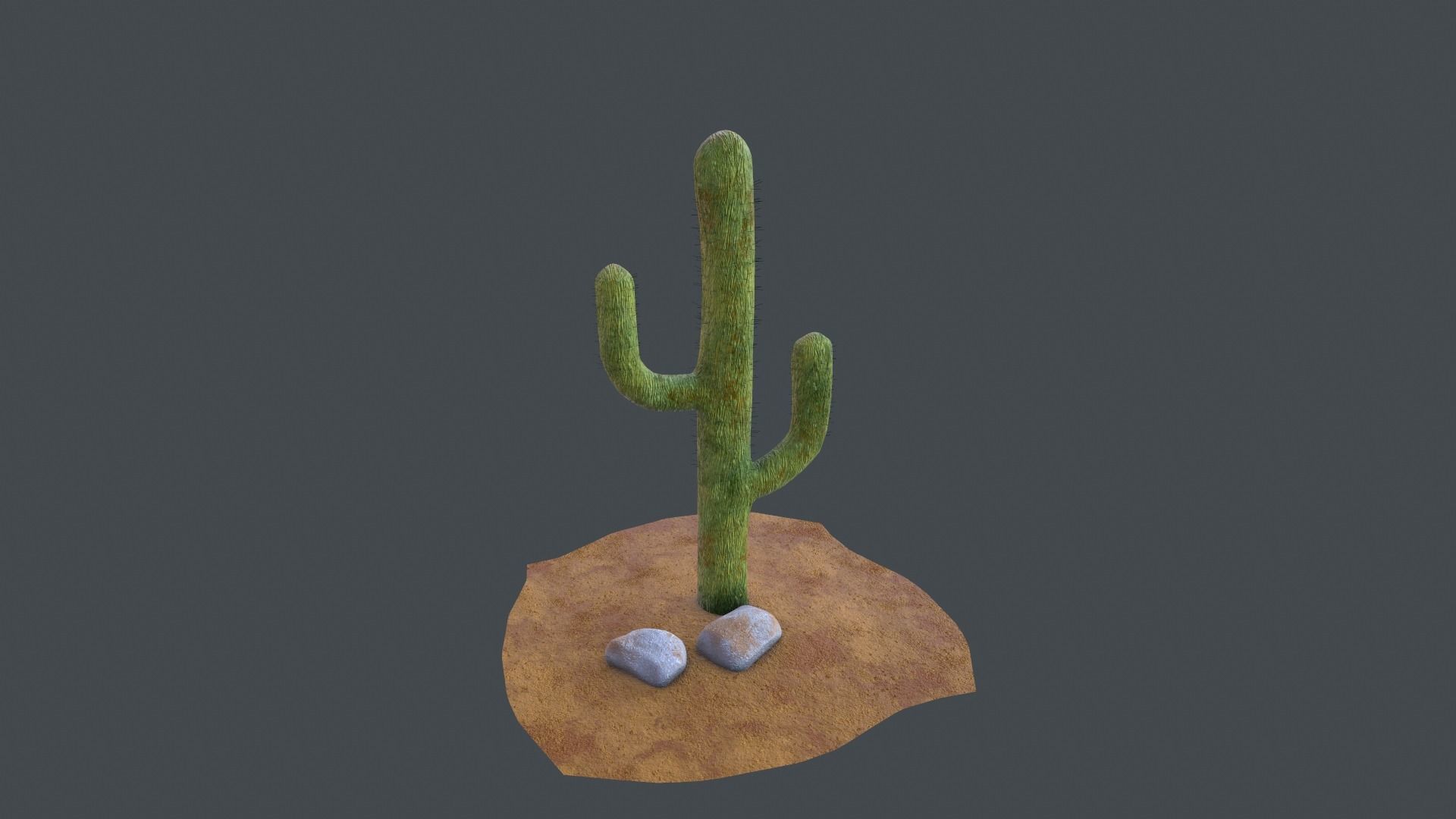 3D model low-poly low poly cactus | CGTrader