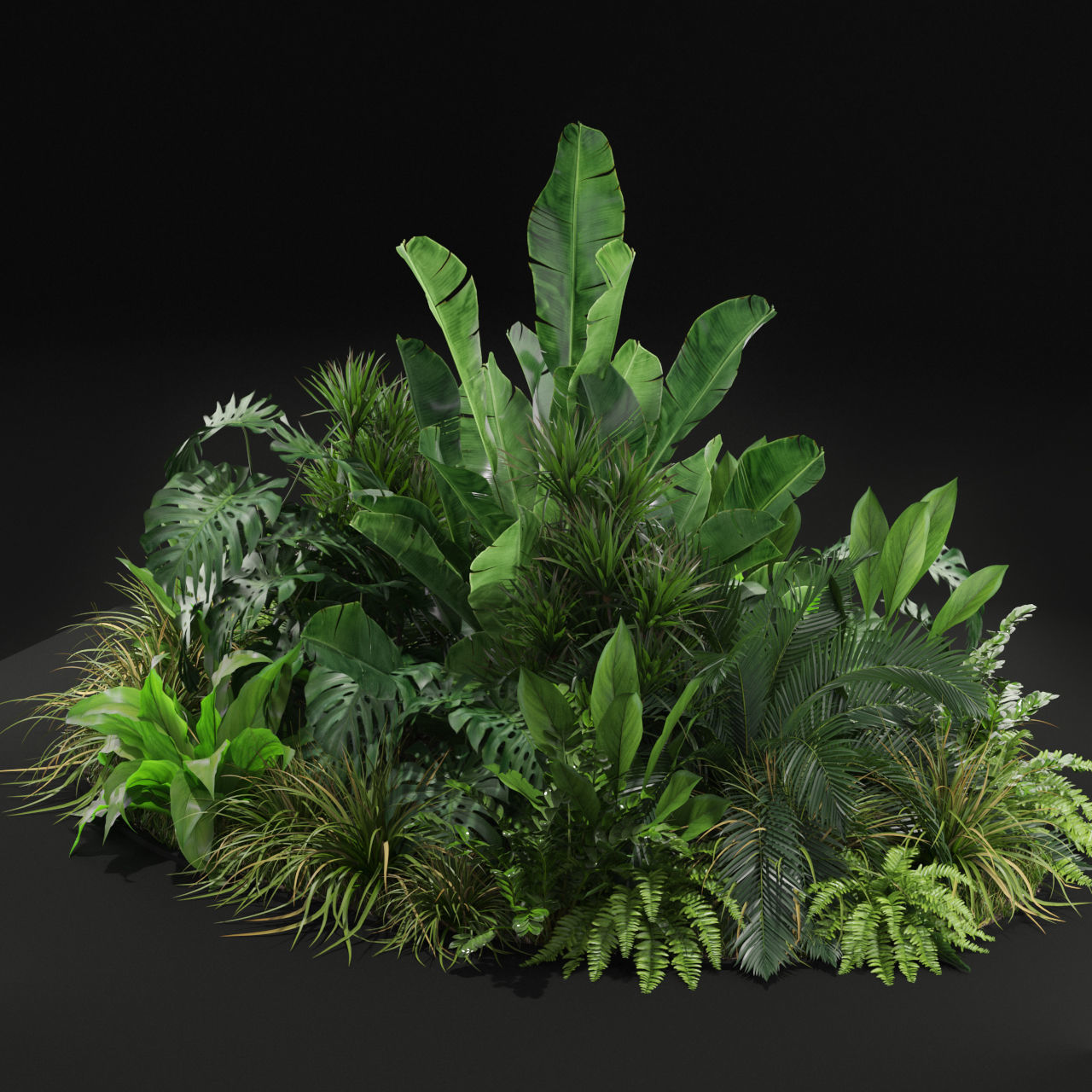 Plants collection 445 3D model | CGTrader