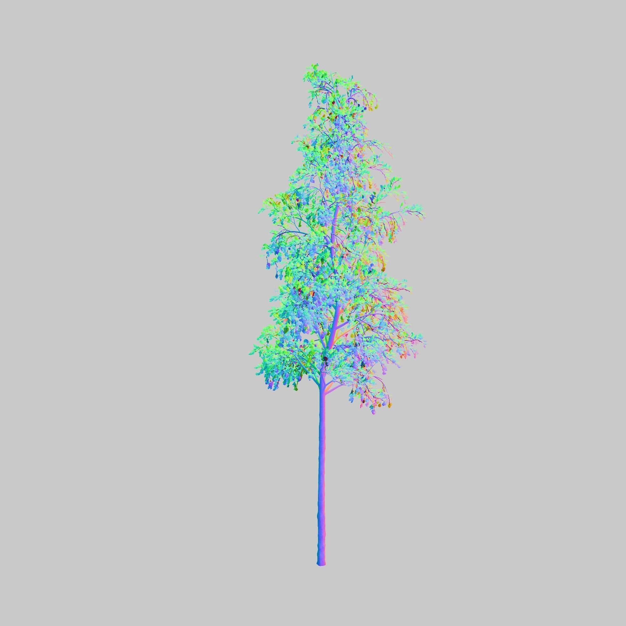 European Aspen tree 3D model | CGTrader