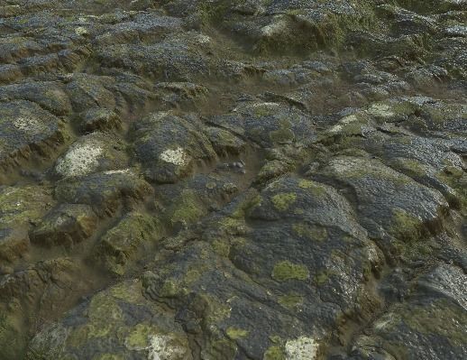 Jungle Cliff PBR Texture Texture | CGTrader