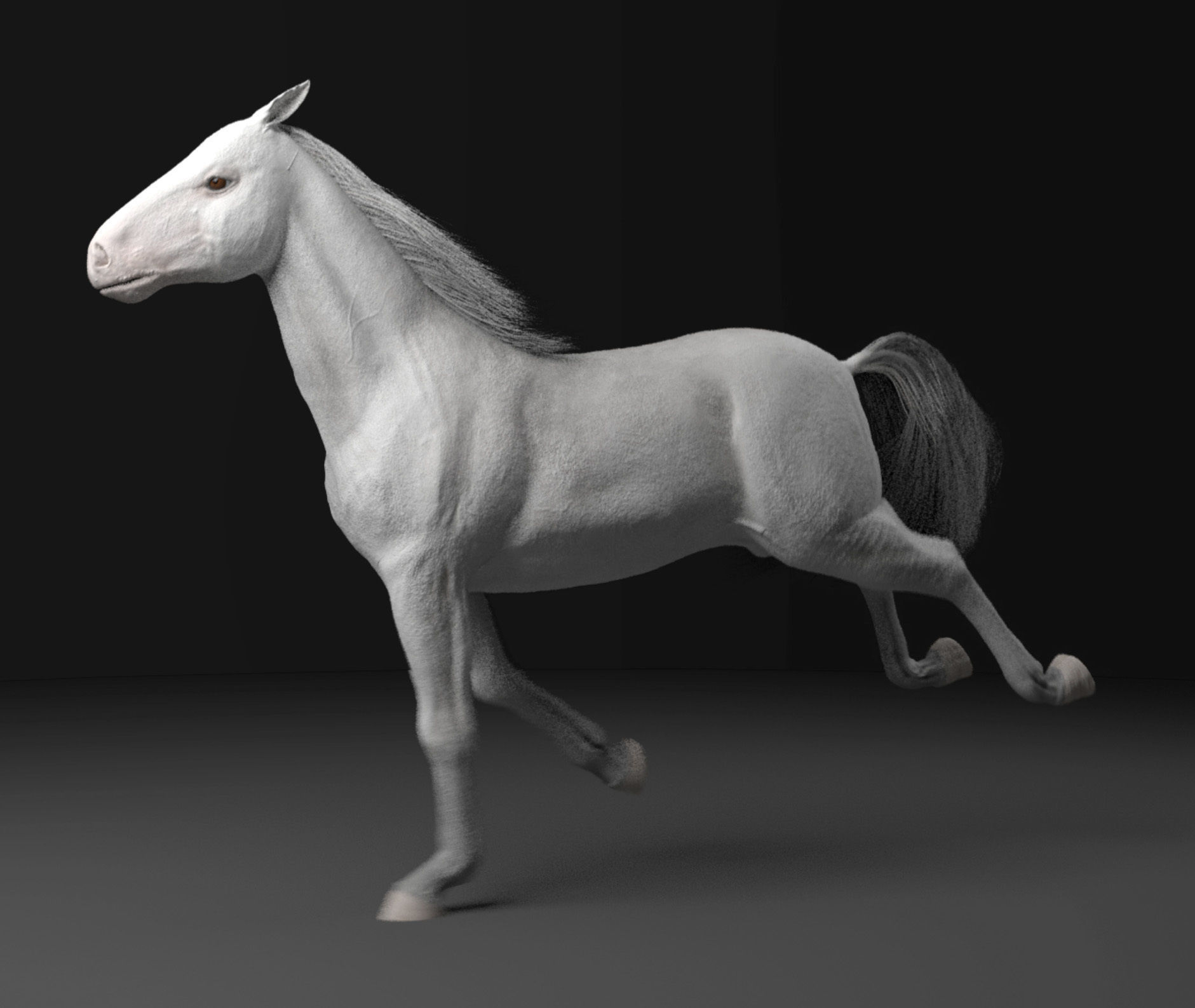 Horse model running 3D model rigged | CGTrader