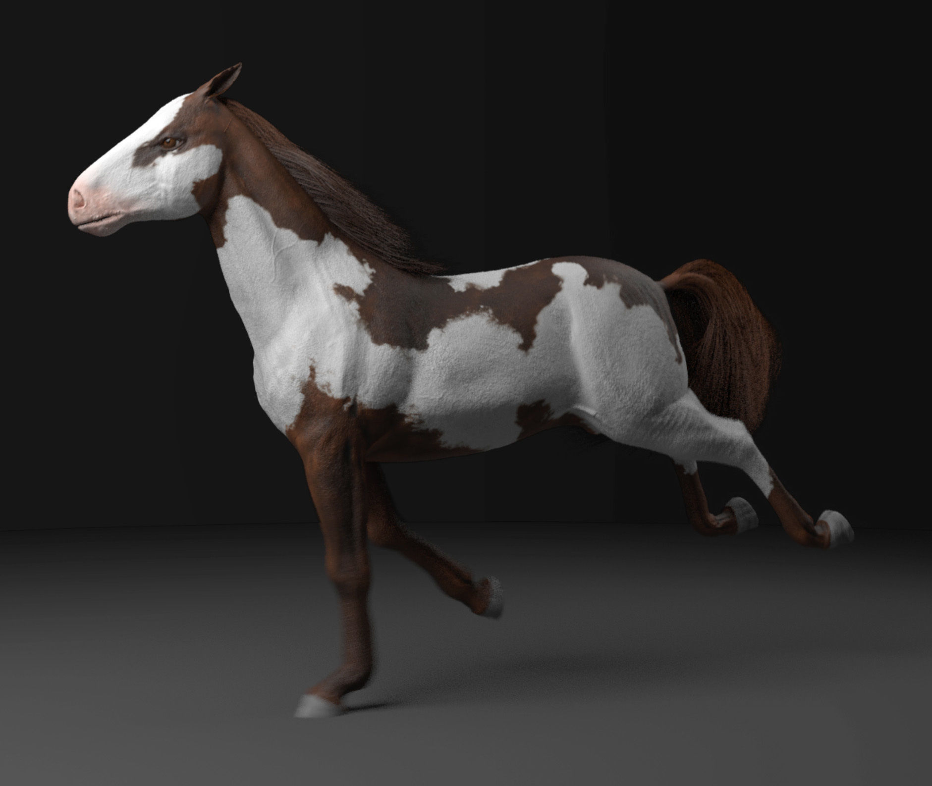 Horse model running 3D model rigged | CGTrader
