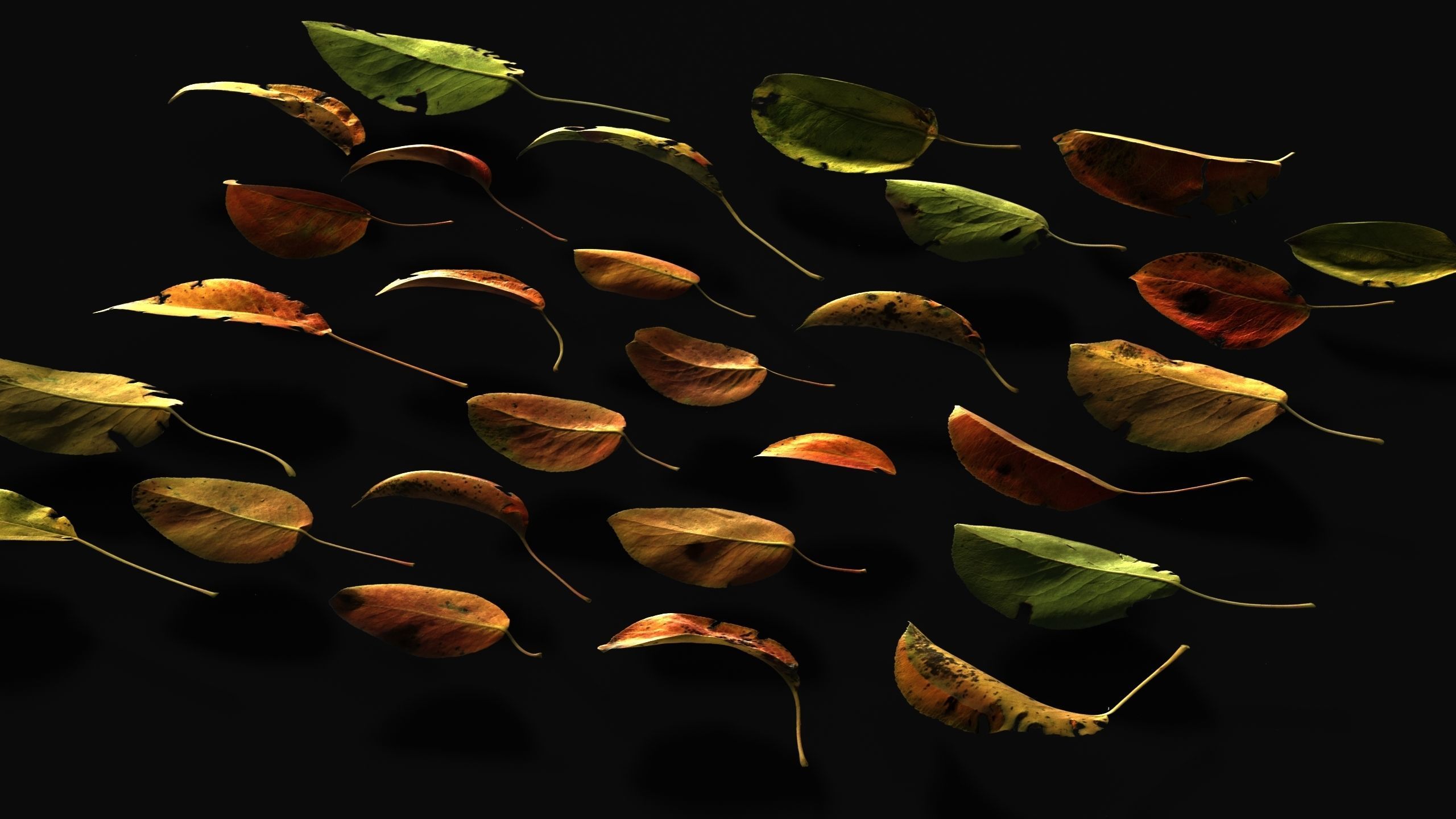 36 Foliage types- 32-16 bit 6K atlases - 325 textures Texture | CGTrader
