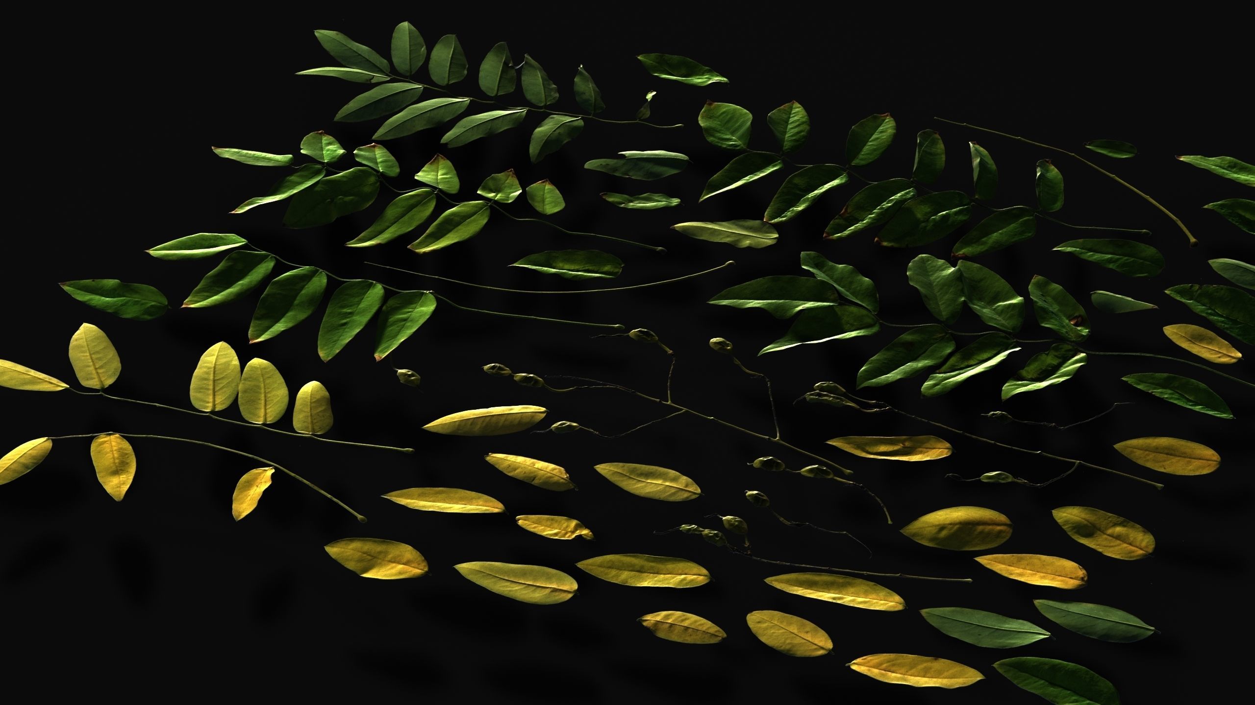 36 Foliage types- 32-16 bit 6K atlases - 325 textures Texture | CGTrader