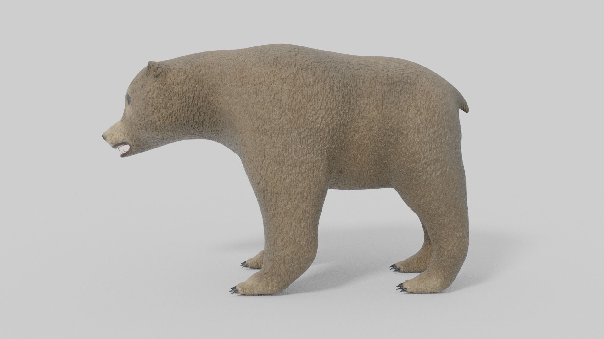 3D model 3D Bear Model and Animation VR / AR / low-poly | CGTrader