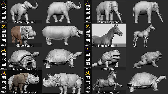 Animals Sculpt 3D Model Collection | CGTrader