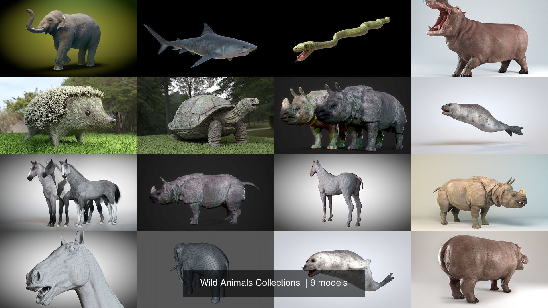 Wild Animals Collections | CGTrader