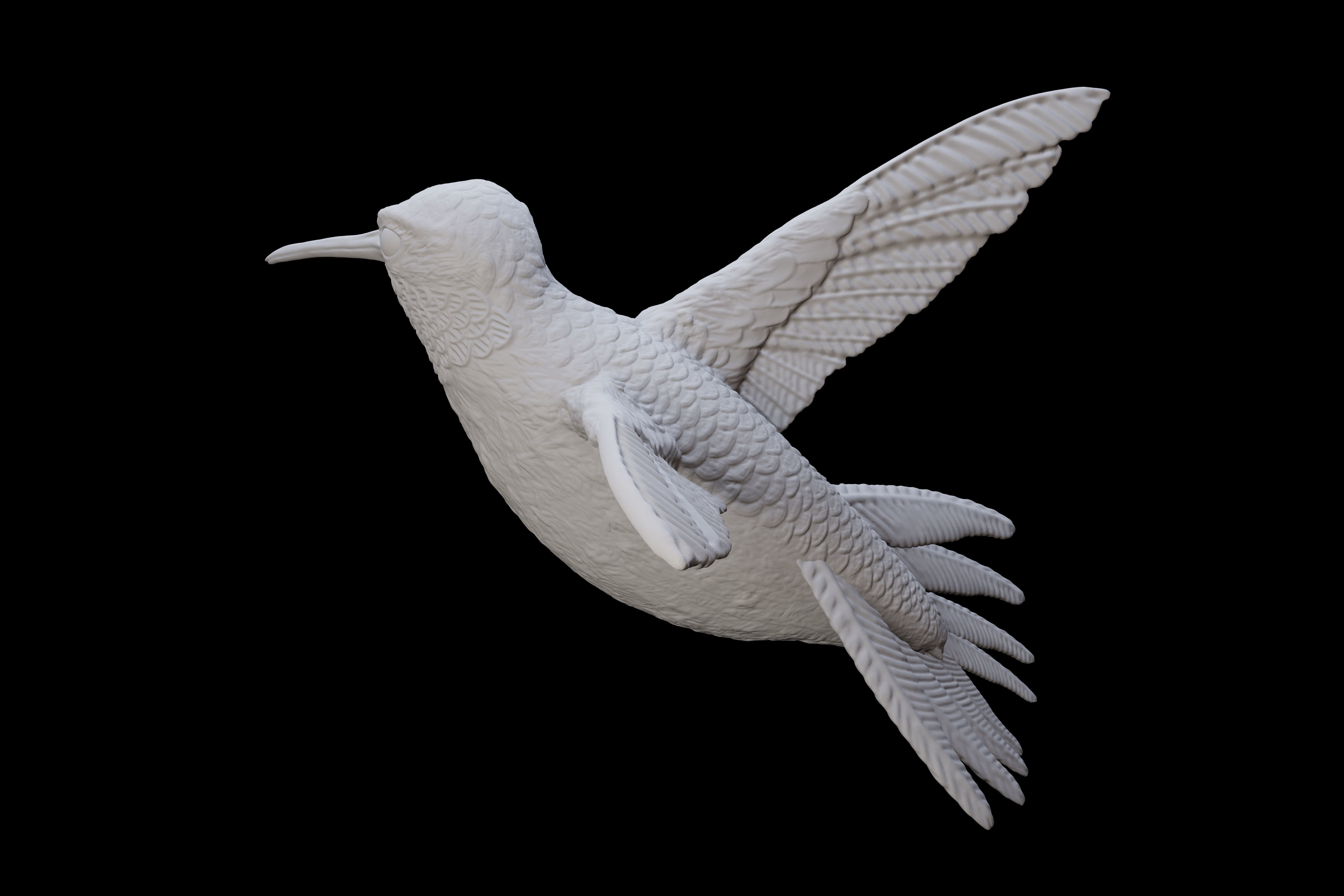 Hummingbird for 3d printing 3D model 3D printable | CGTrader