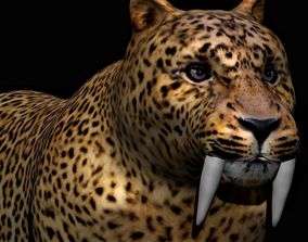 Sabertooth 3D Models | CGTrader
