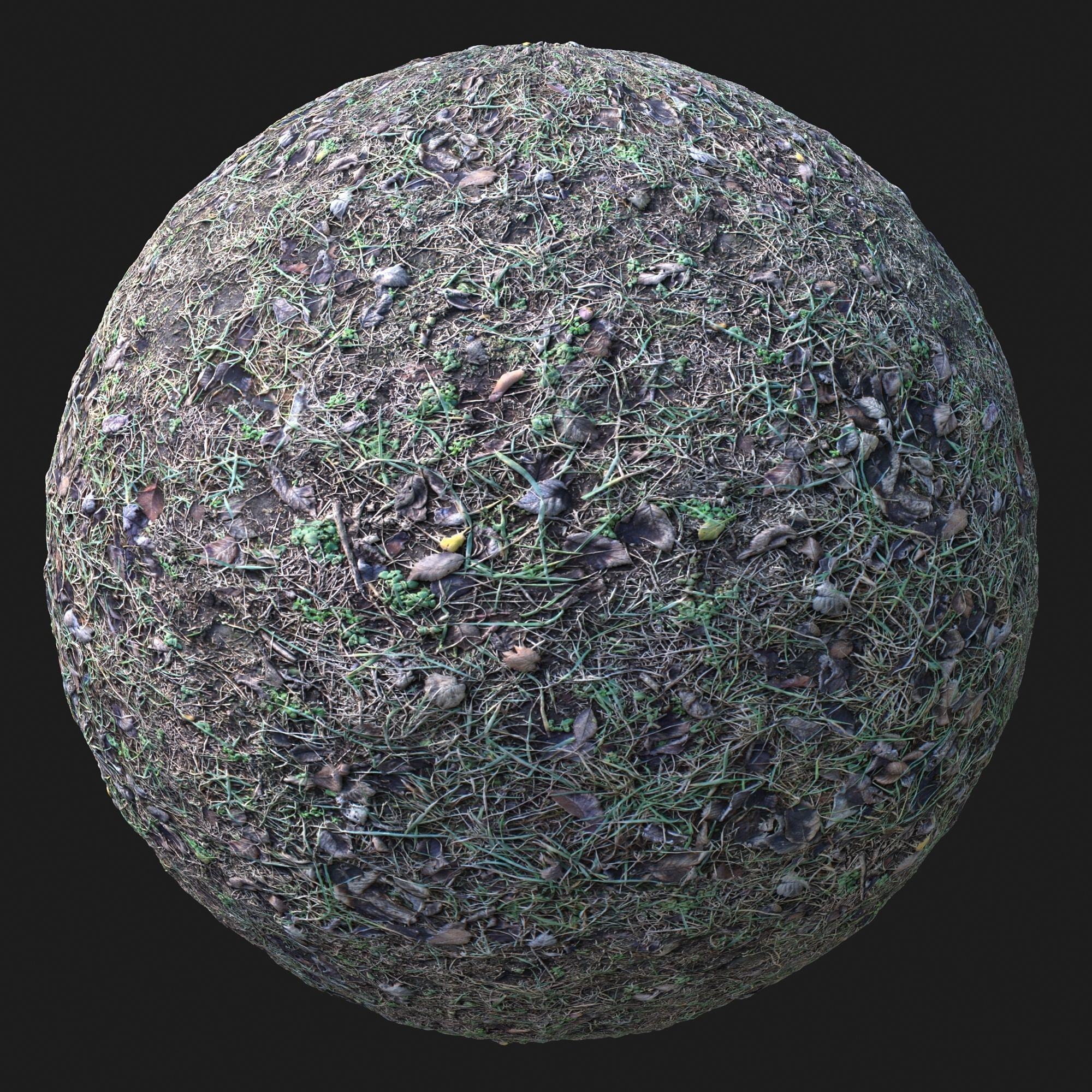 Ground Collection PBR Texture Texture | CGTrader