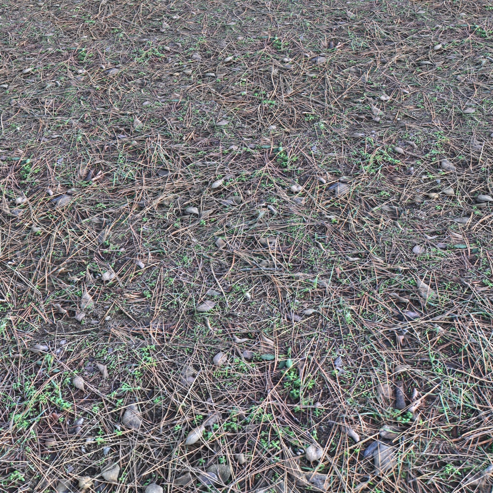 Ground Collection PBR Texture Texture | CGTrader