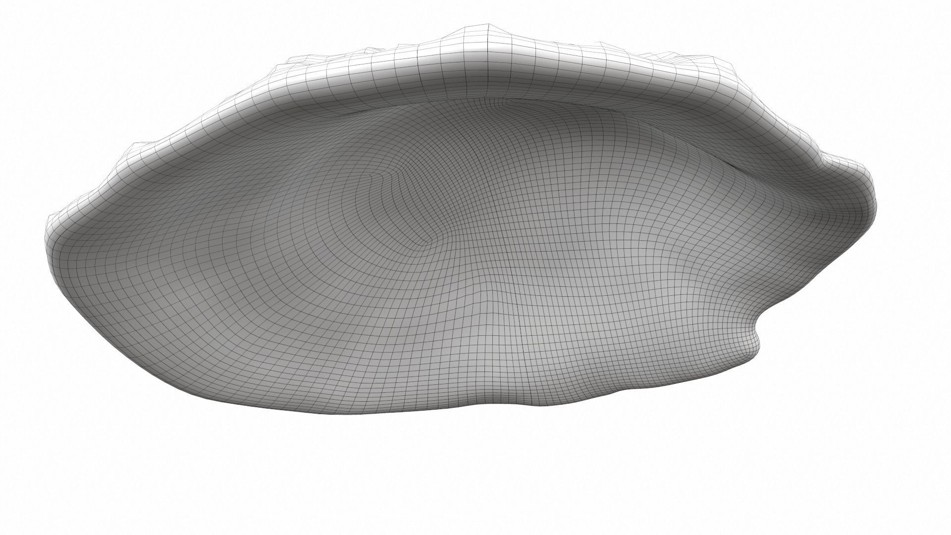 Sea shell scallop 4 3D model | CGTrader