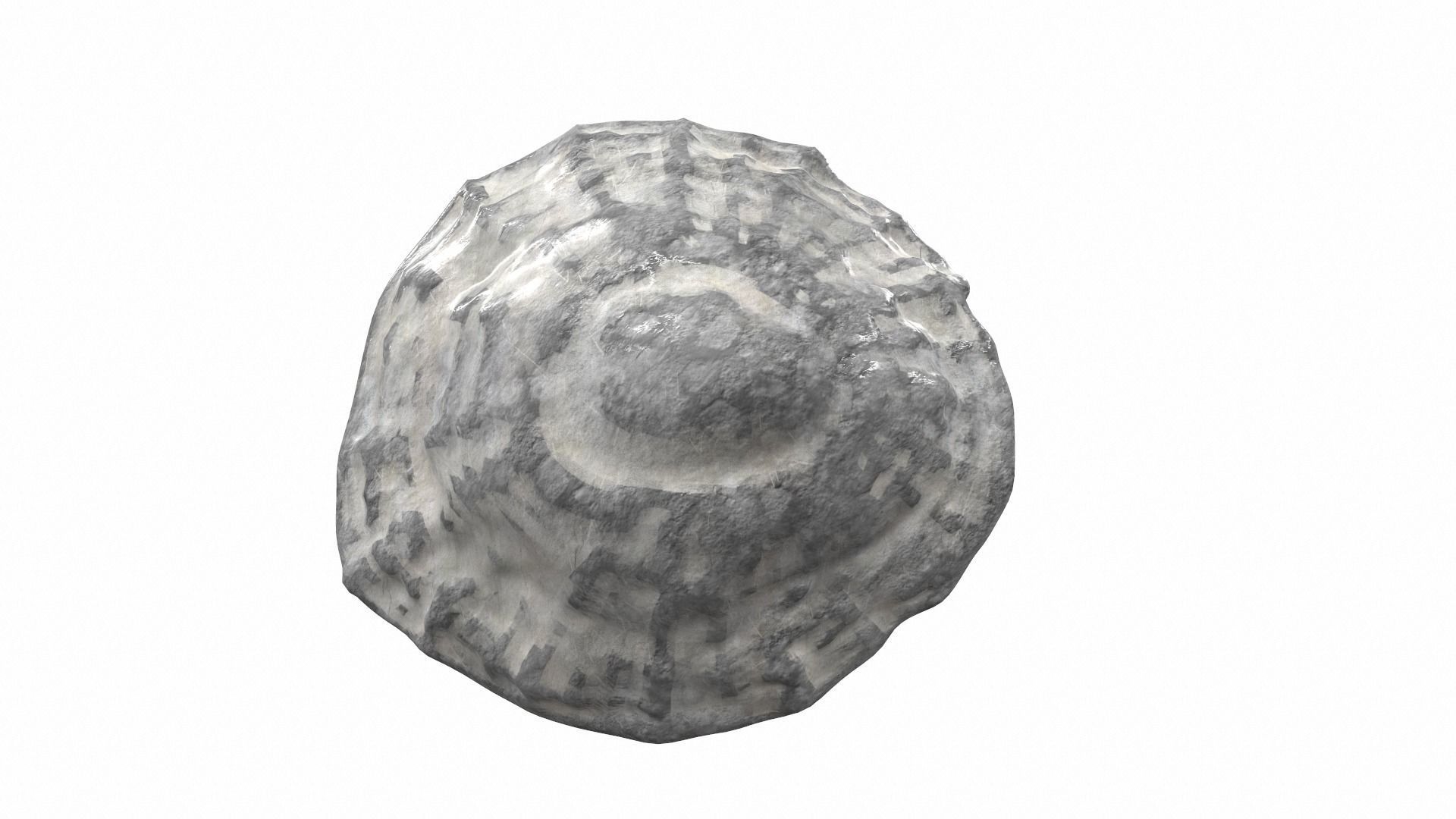 Sea shell scallop 4 3D model | CGTrader