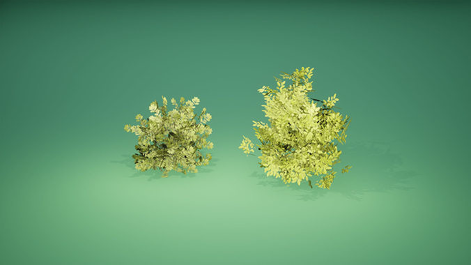 3D model Bushes Game Ready plant VR / AR / low-poly | CGTrader