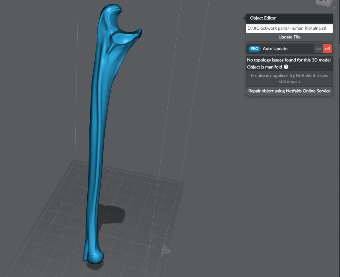 Human Hand Realistic Articulated 3D model 3D printable | CGTrader