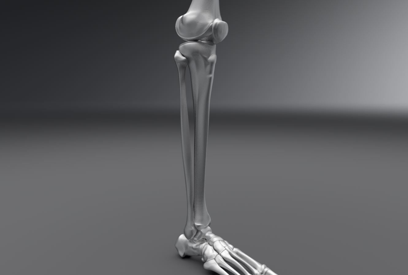 Human Leg Realistic Articulated 3D model 3D printable | CGTrader