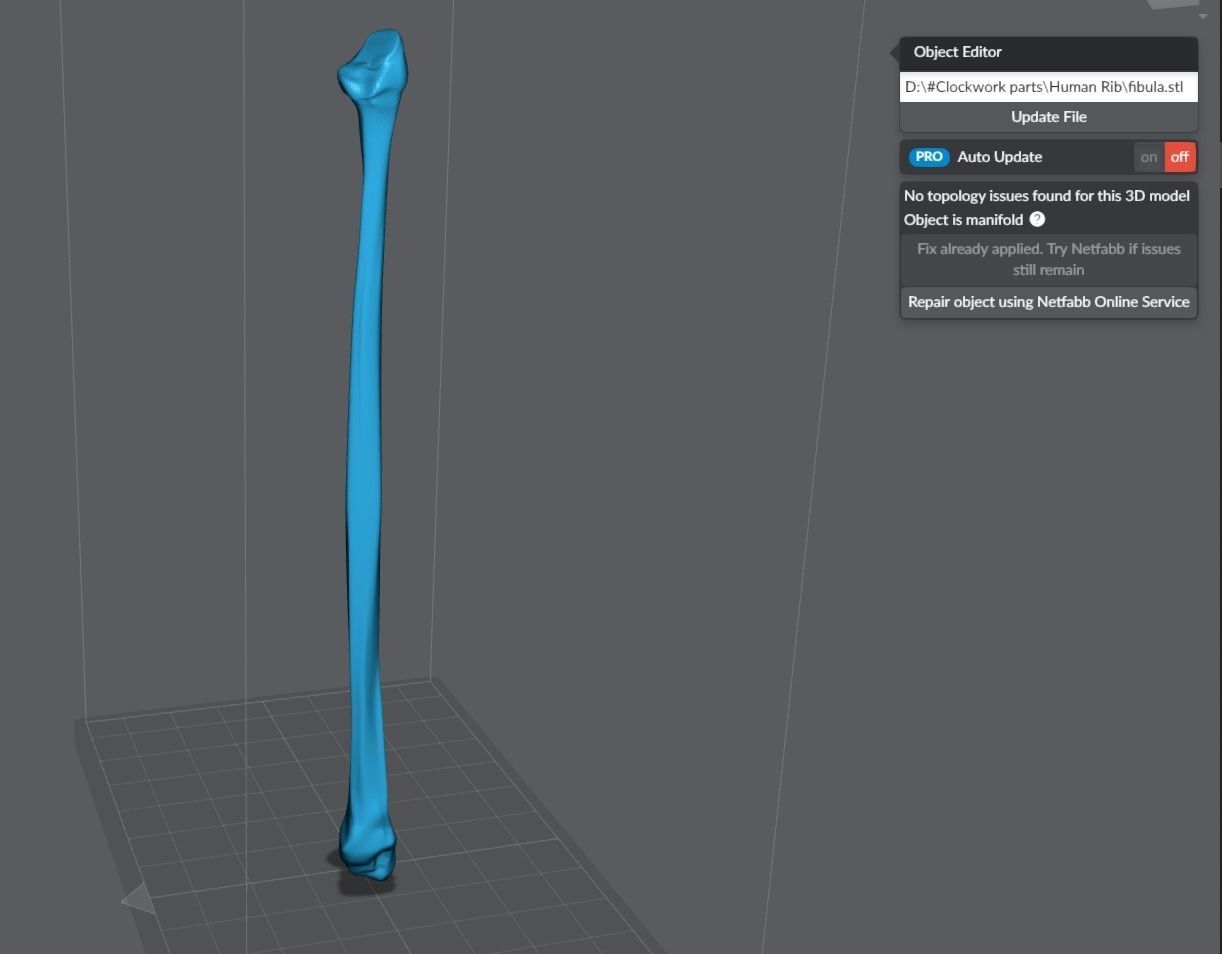 Human Leg Realistic Articulated 3D model 3D printable | CGTrader