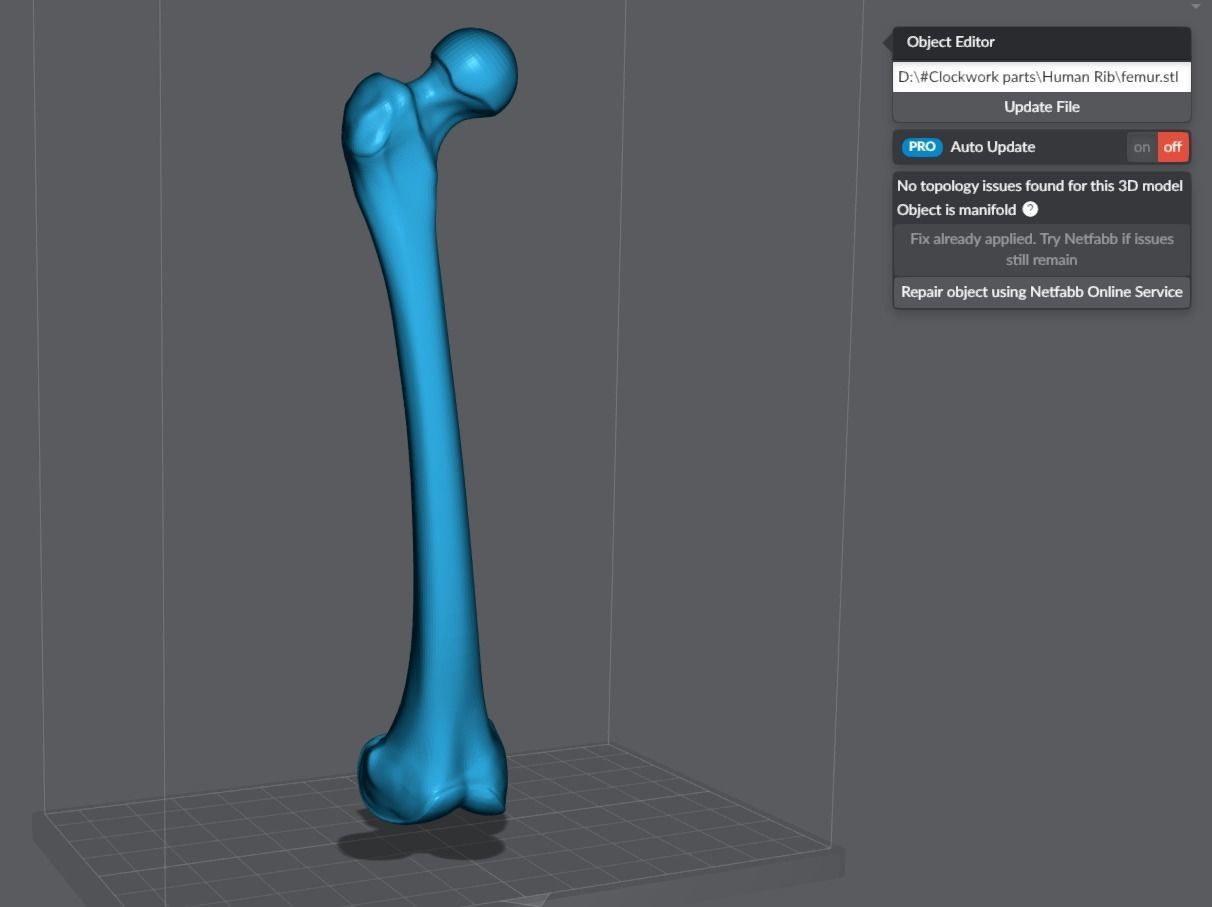 Human Leg Realistic Articulated 3D model 3D printable | CGTrader