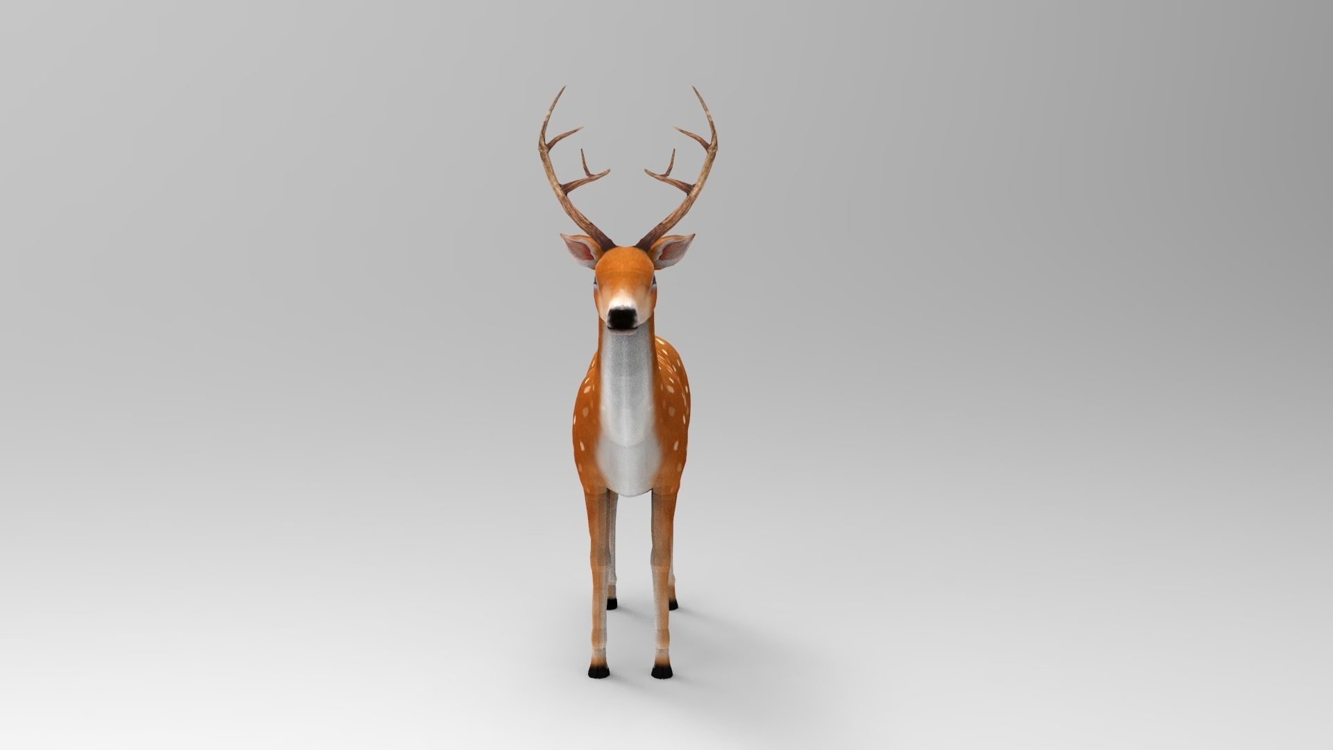 3D model Deer 3d modeling and Deer 3d model with texture VR / AR / low ...
