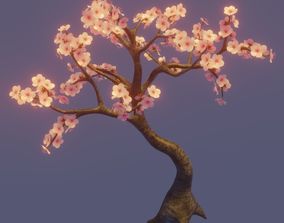 Cherry blossom 3D Models | CGTrader