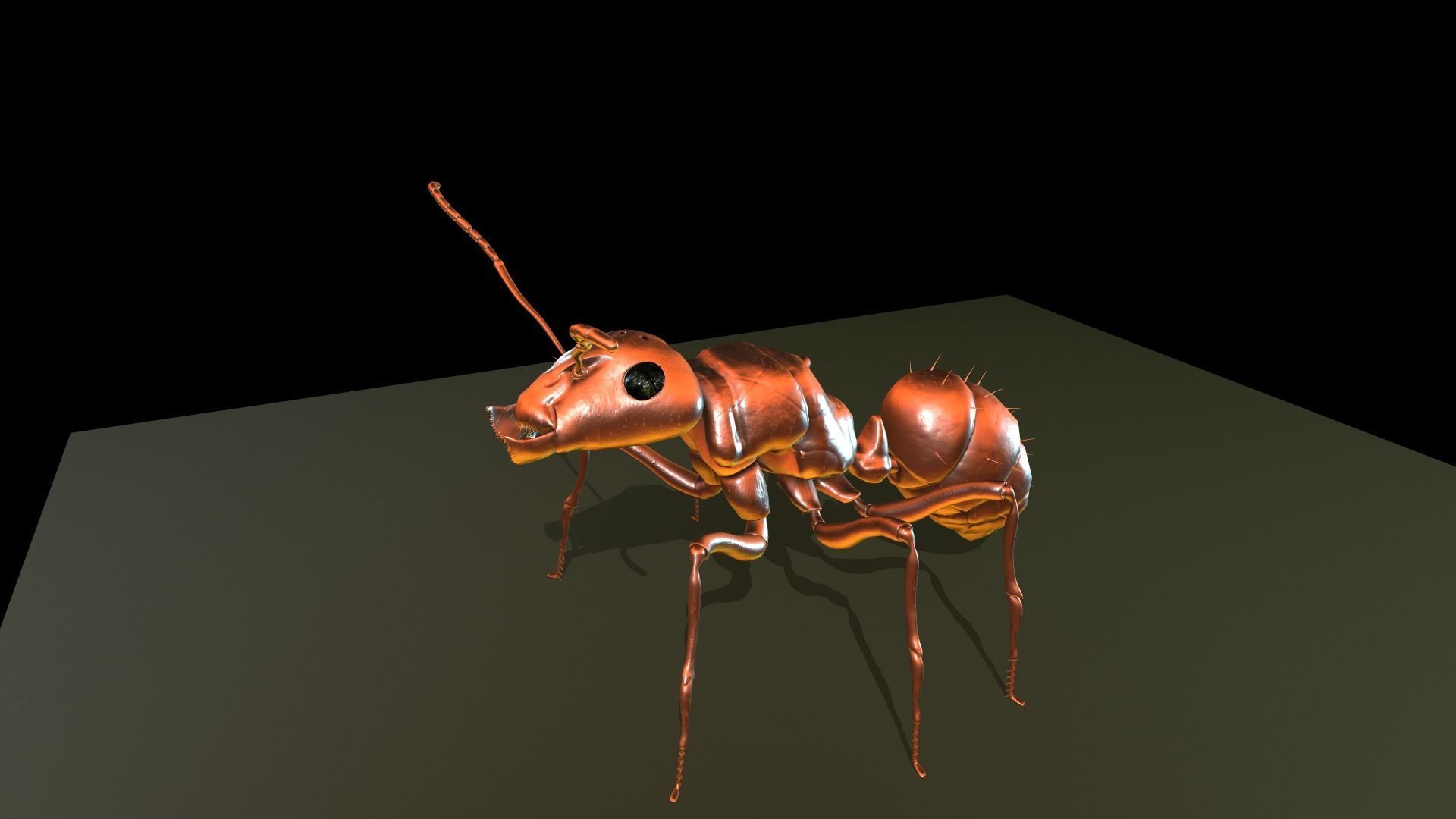 3D model Worker Ant VR / AR / low-poly rigged animated | CGTrader