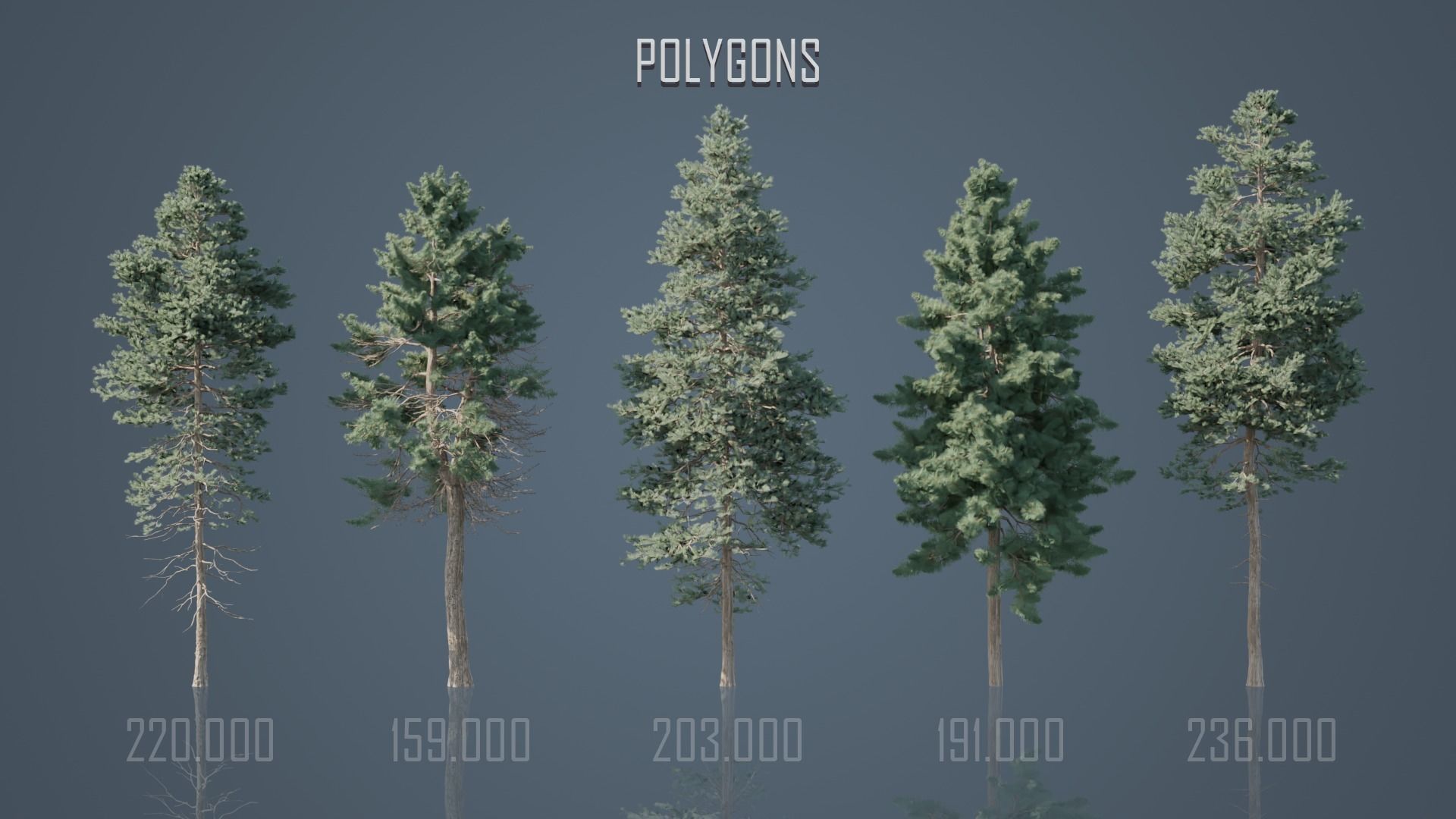 3D model Tall Conifer Trees VR / AR / low-poly | CGTrader