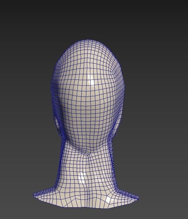 Male head base model 3D model | CGTrader