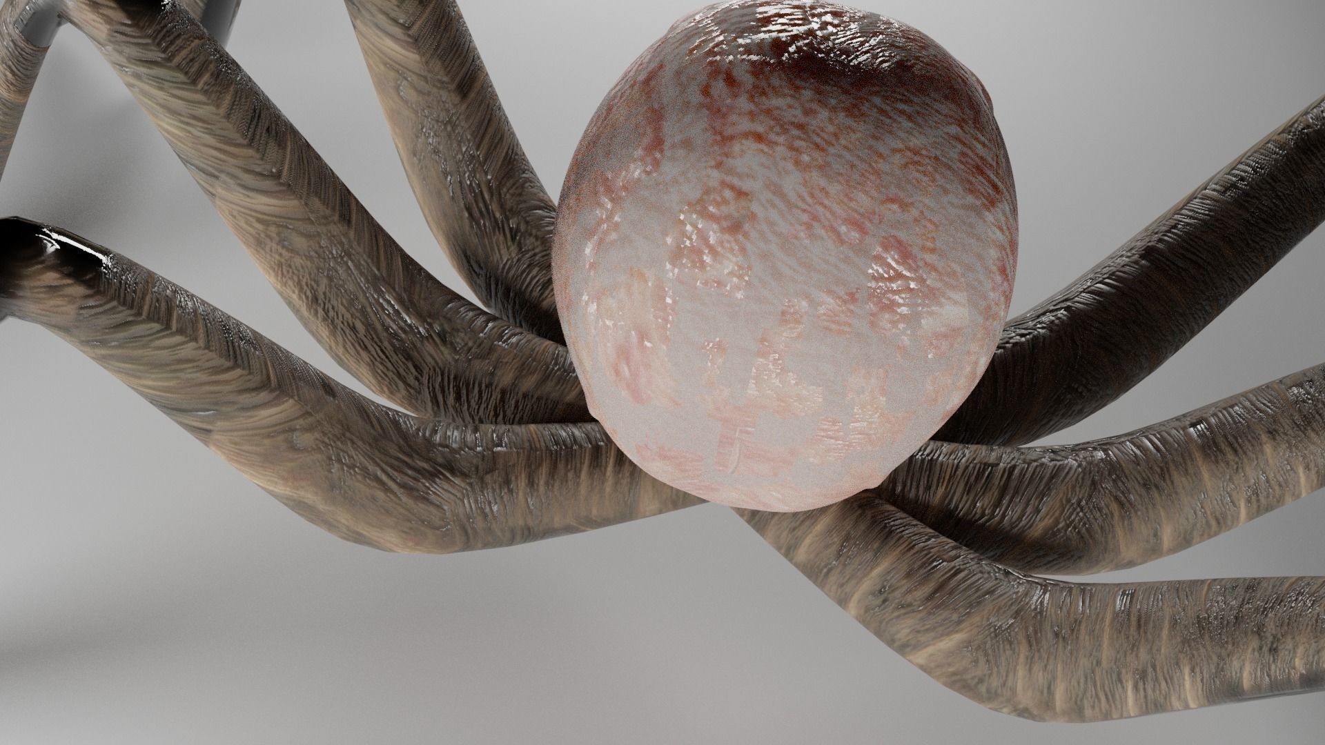 Spider mutant 3D model | CGTrader