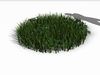 arquigrasspack02- Revit grass with automatic placement 3D model | CGTrader