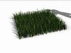 arquigrasspack02- Revit grass with automatic placement 3D model | CGTrader