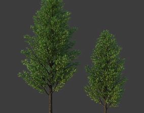 Animated Maple 3D Models | CGTrader