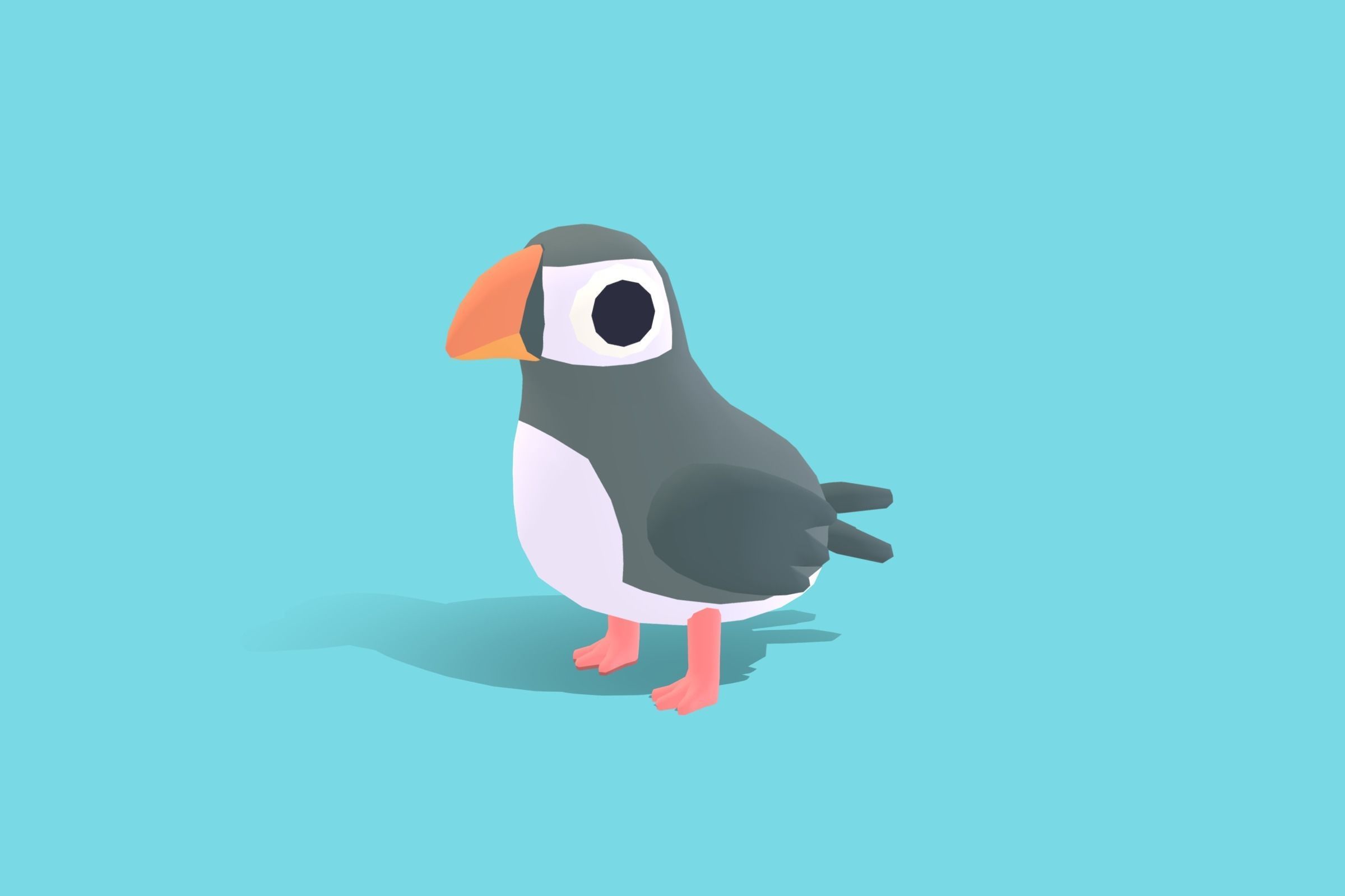 3D model Puffin - Quirky Series VR / AR / low-poly | CGTrader